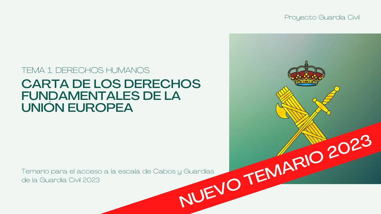 Carta de Derechos Fundamentales de la Unión Europea en el BOE: Guía ...